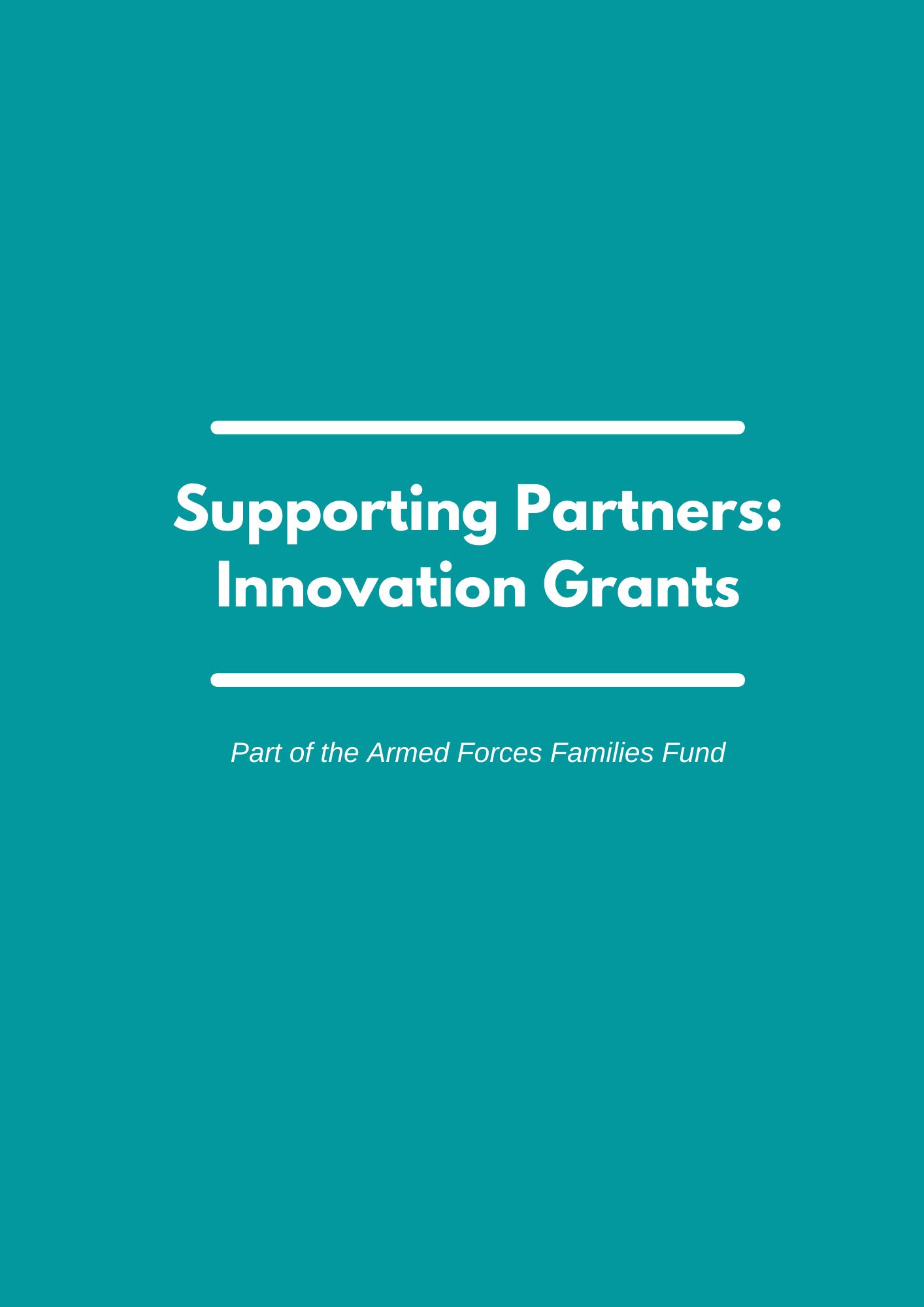 Supporting Partners: Innovation Grants