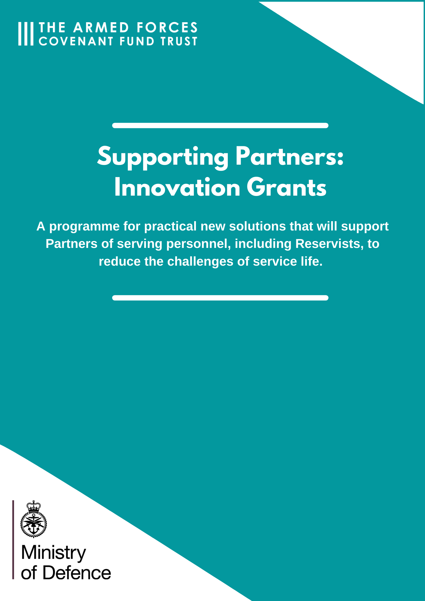 Supporting Partners: Innovation Grants